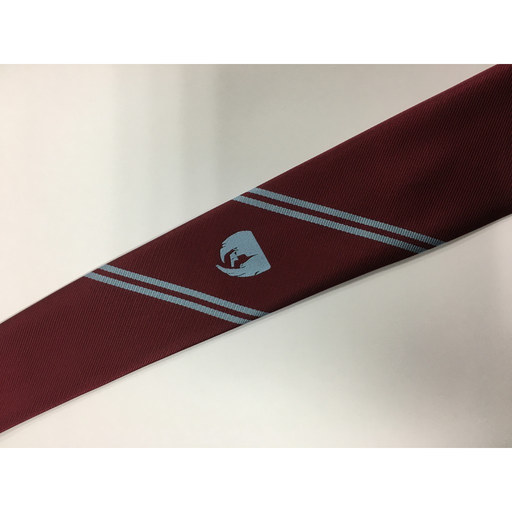 Treorchy comprehensive schoolwear U Design Embroidery